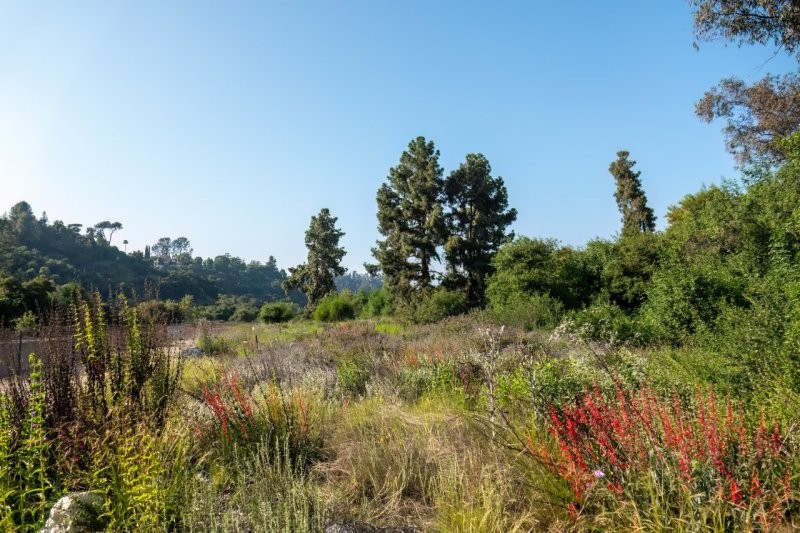 Arroyo Seco - Visit Pasadena | Visit Pasadena