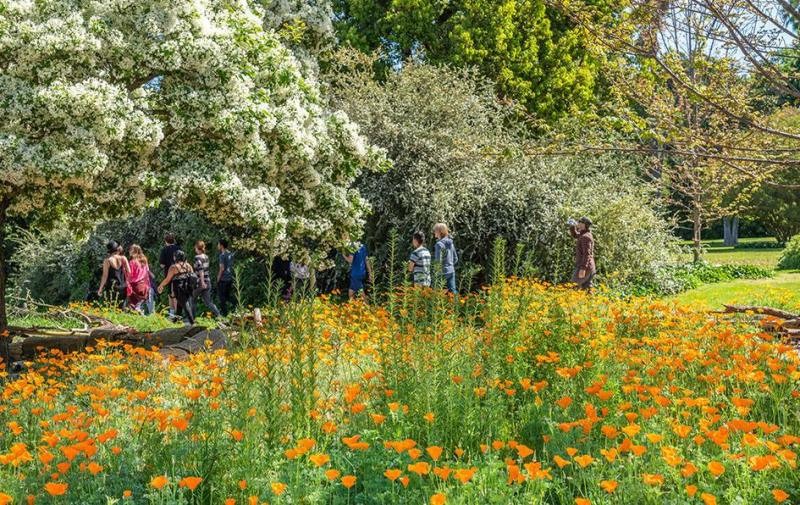 Los Angeles County Arboretum - Visit Pasadena | Visit Pasadena