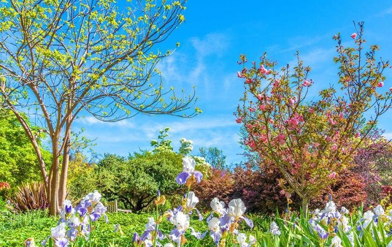 Los Angeles County Arboretum - Visit Pasadena | Visit Pasadena