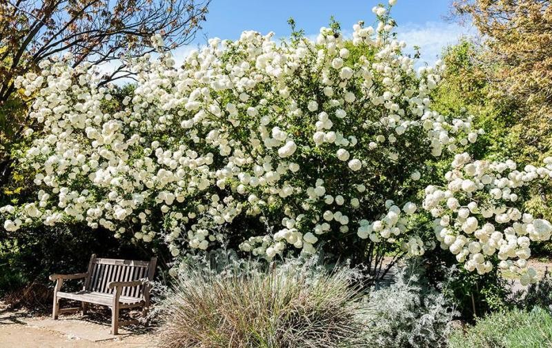 Los Angeles County Arboretum - Visit Pasadena | Visit Pasadena