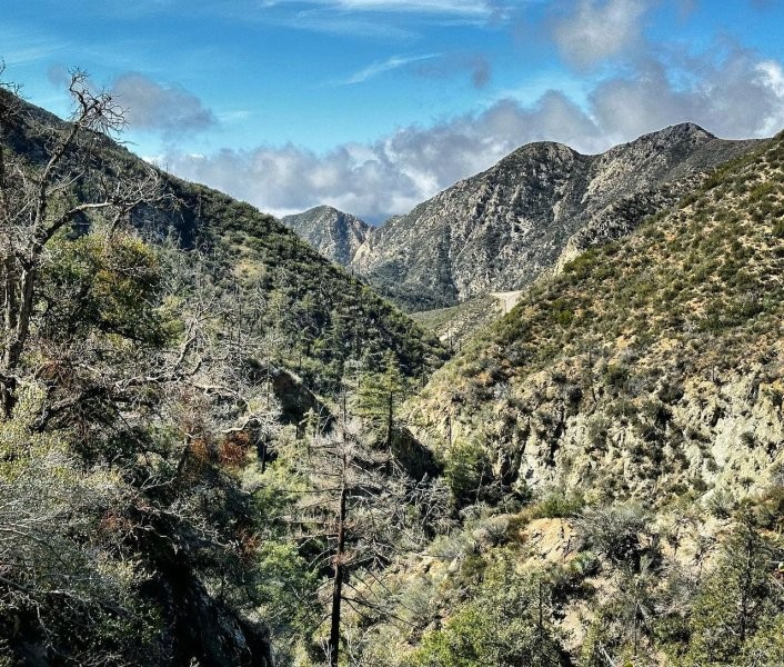 Angeles National Forest | Visit Pasadena