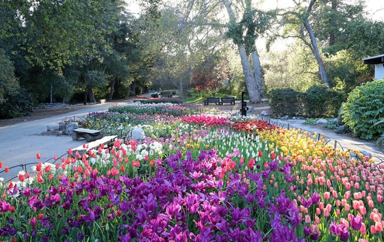 2025 Fall Festivals, Concerts & Activities in Pasadena, CA | Visit Pasadena