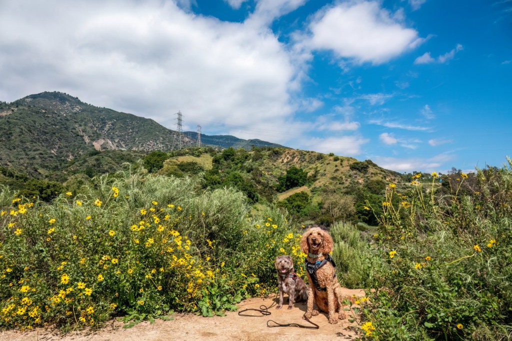 Parks and Trails | Visit Pasadena