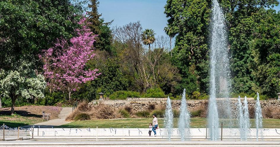 Los Angeles County Arboretum - Visit Pasadena | Visit Pasadena