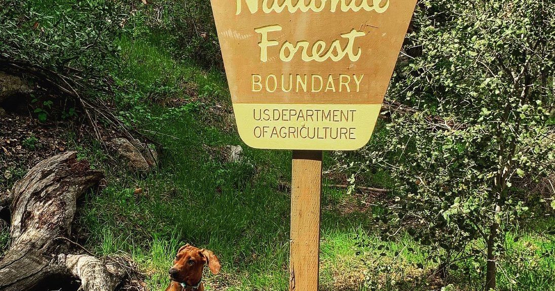 Angeles National Forest | Visit Pasadena