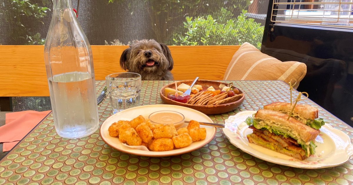Dog-Friendly Restaurants | Visit Pasadena