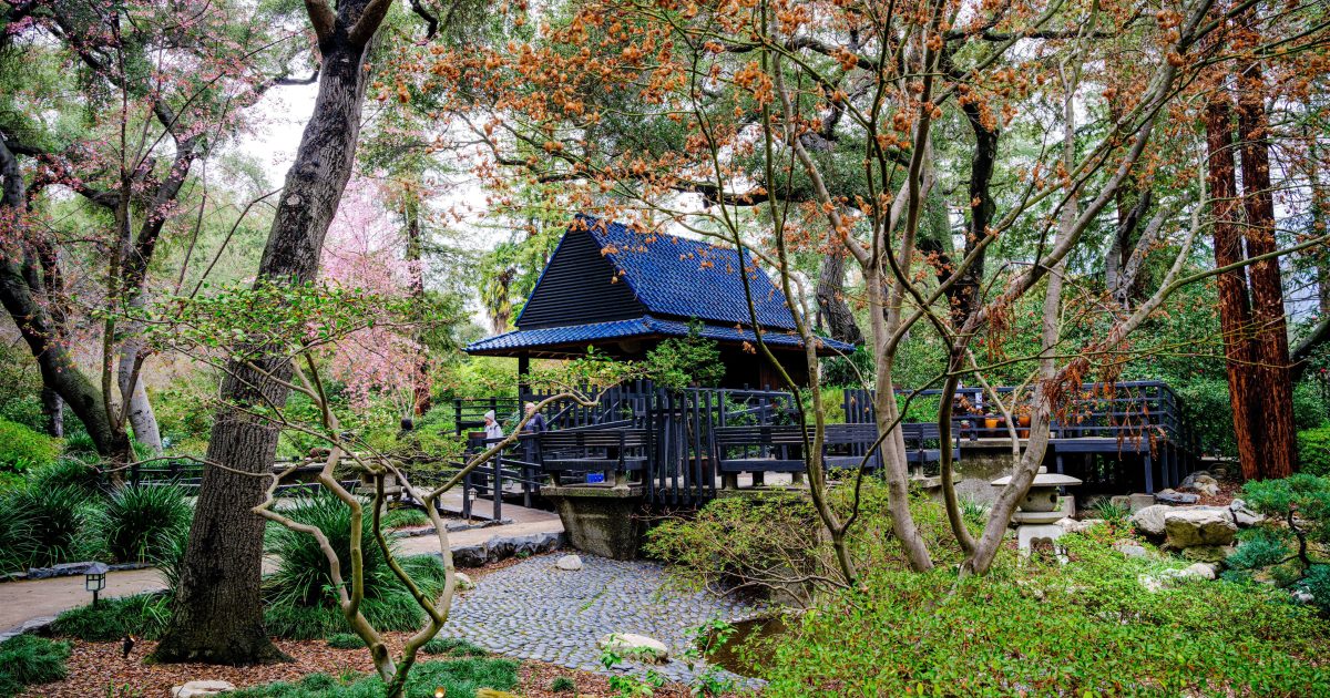 Pasadena Arboretum Garden Celebration